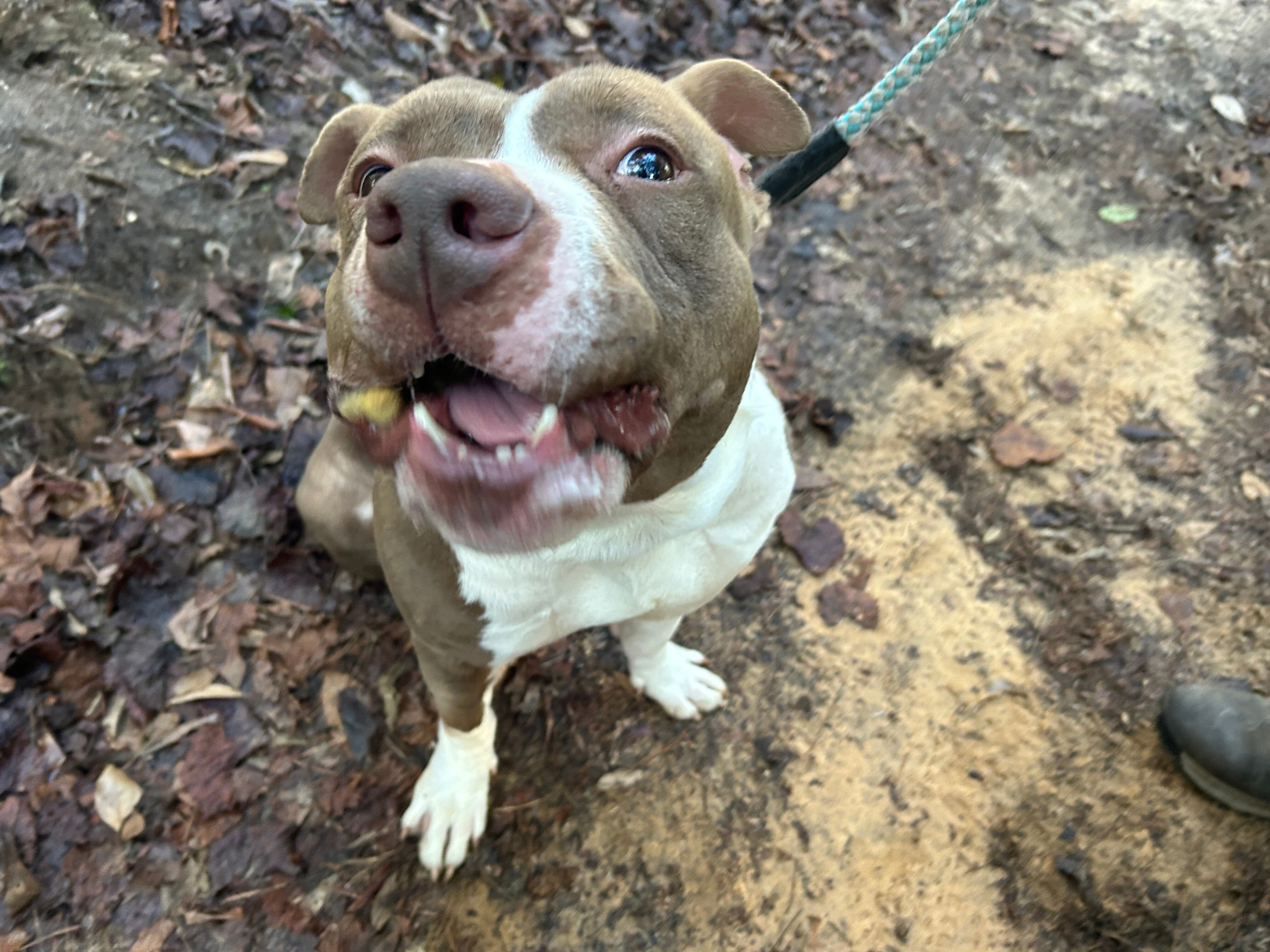Furry Friday: Prince and friends waiting for their happily ever after!