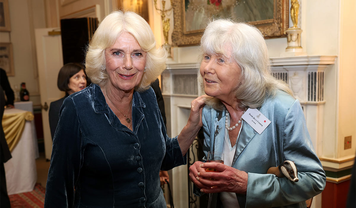 Irish stars and Queen Camilla remember 'wonderfully witty' Jilly Cooper ...