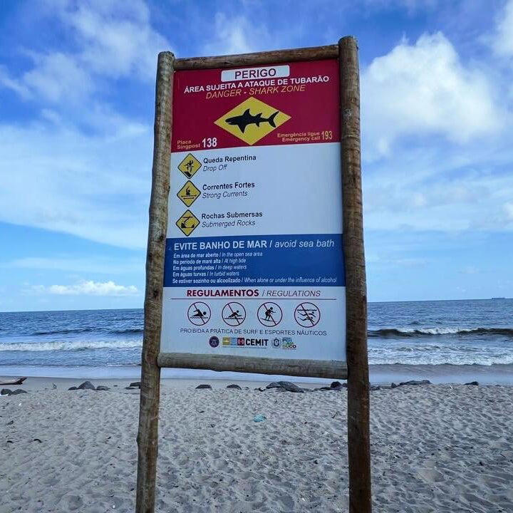 Shark kills 13-year-old boy at popular beach in Brazil