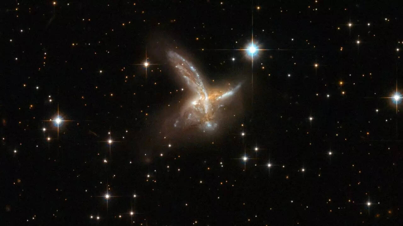 This viral ‘bird in space’ image from NASA’s Hubble Space Telescope is ...