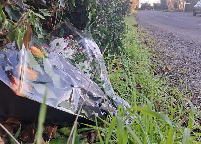 Albanian man to face trial after denying causing death of Tom Wallace ...