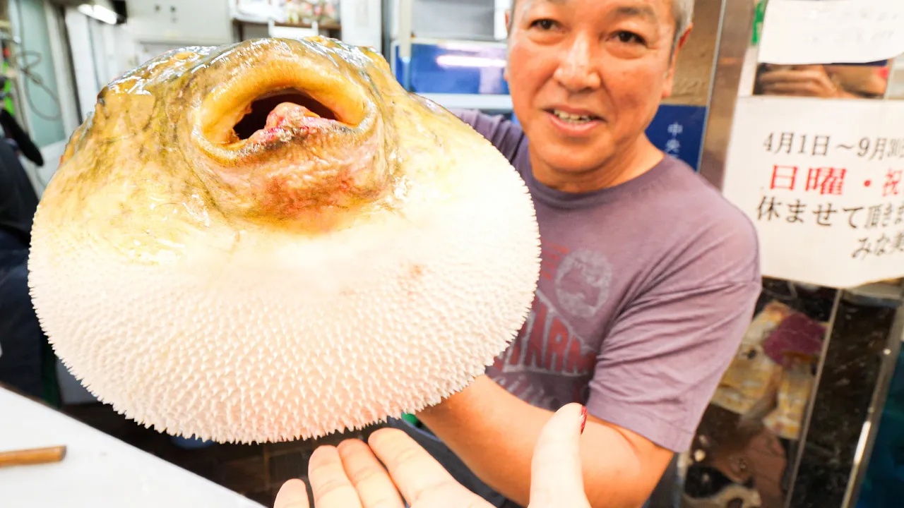 Deadly pufferfish sashimi in Osaka: how fugu is prepared safely