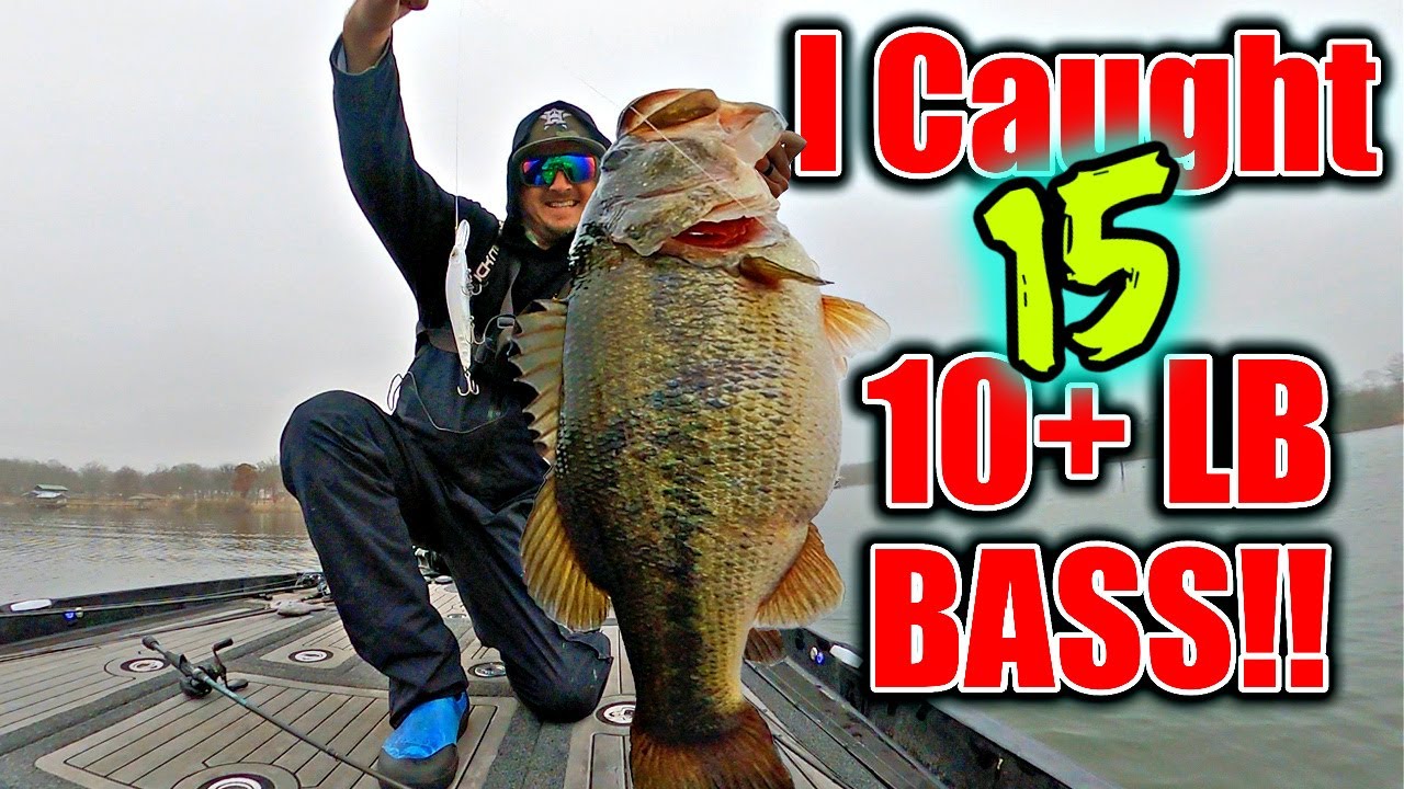 Angler lands 15 double-digit bass in just 35 minutes