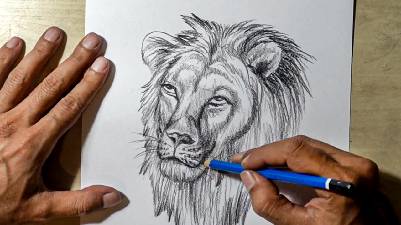 Master lion head anatomy with angle-by-angle drawing practice