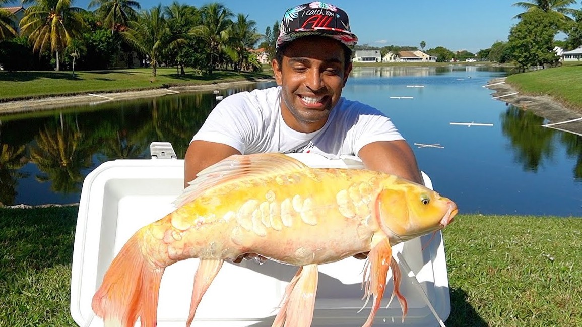 We finally hooked the mutant koi with the insane tail and it was massive