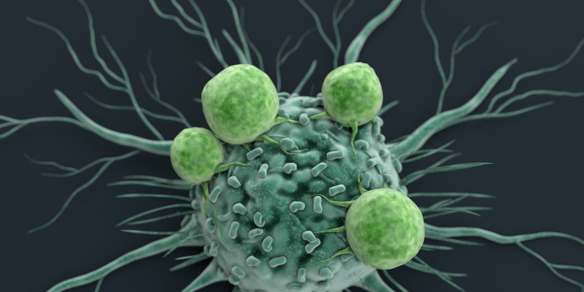 Scientists think they found a way to boost your immune system—and slow ...