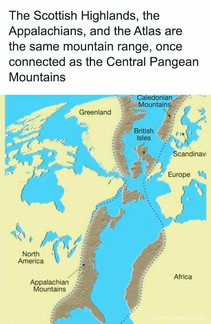 30 interesting facts about the world represented in unconventional maps