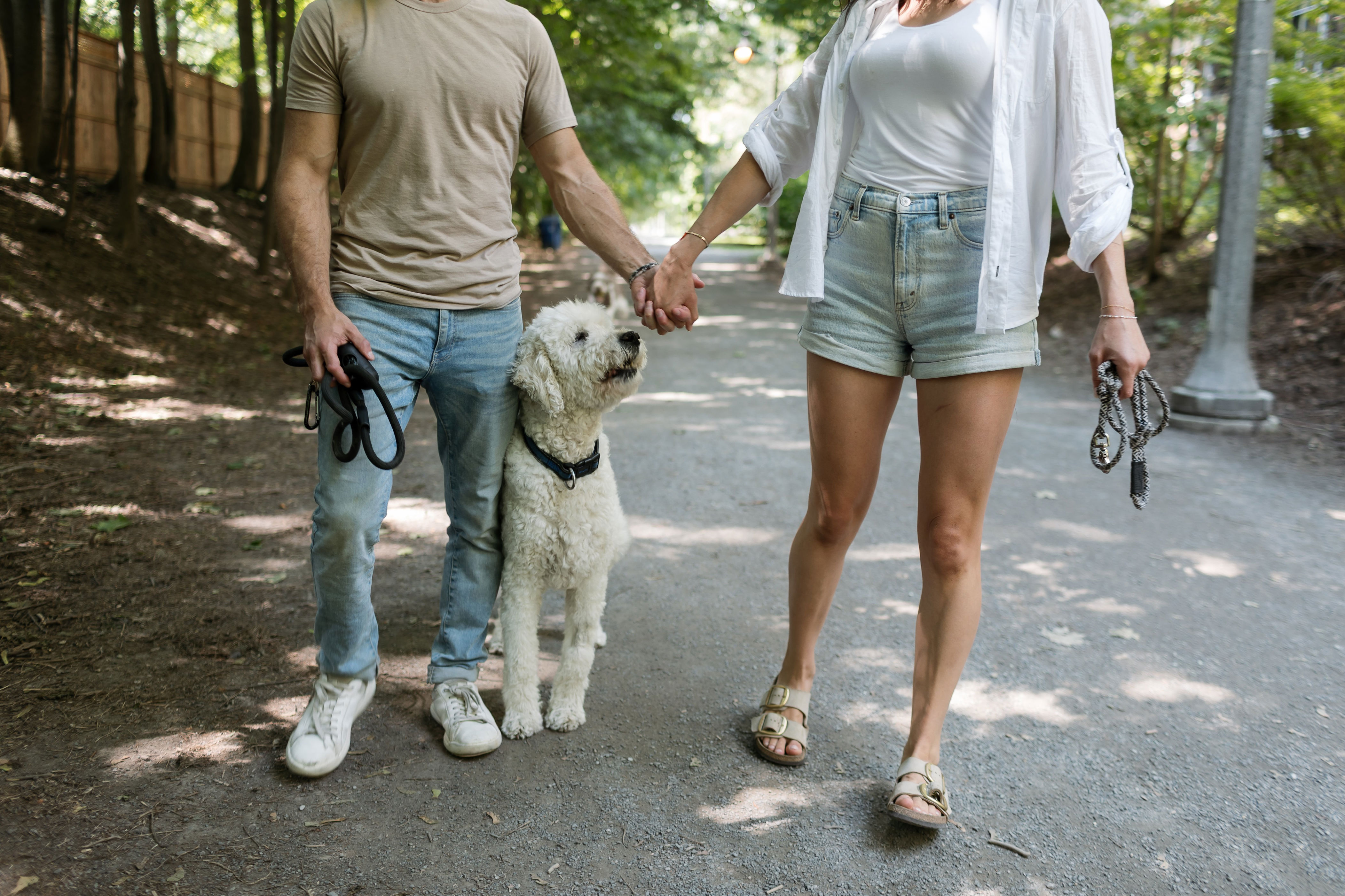 My dog met the love of his life. Then I did too
