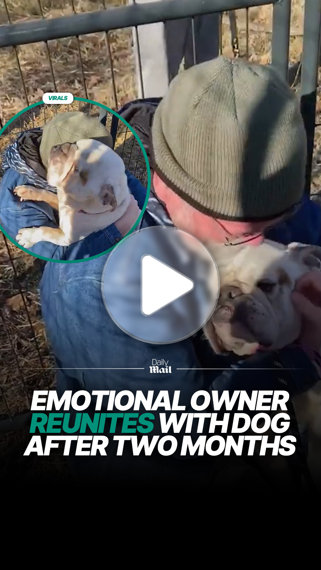 Emotional reunion as owner finds lost dog after two months