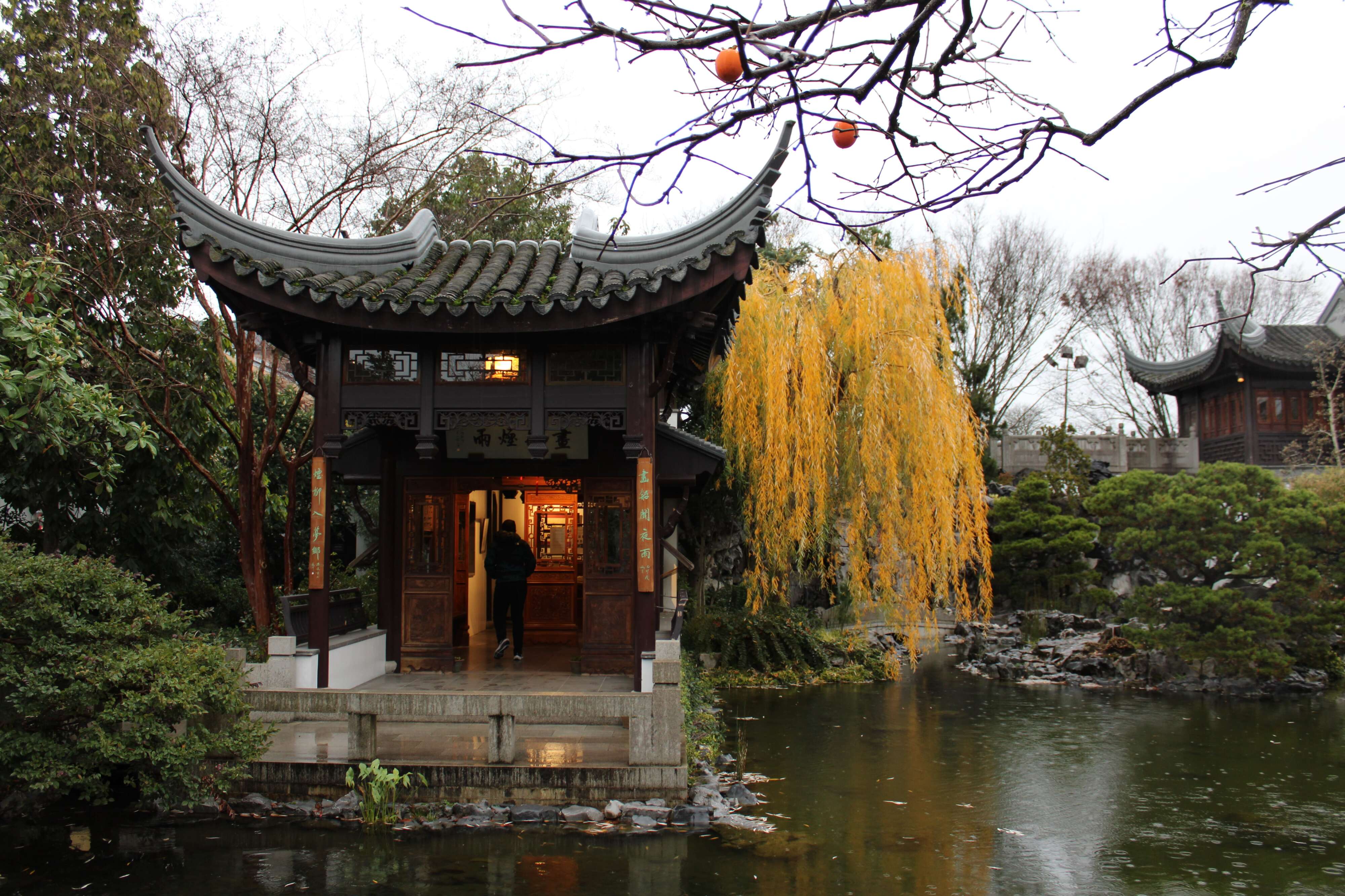 Brief lull in rain Friday morning, then Portland sees light showers ...