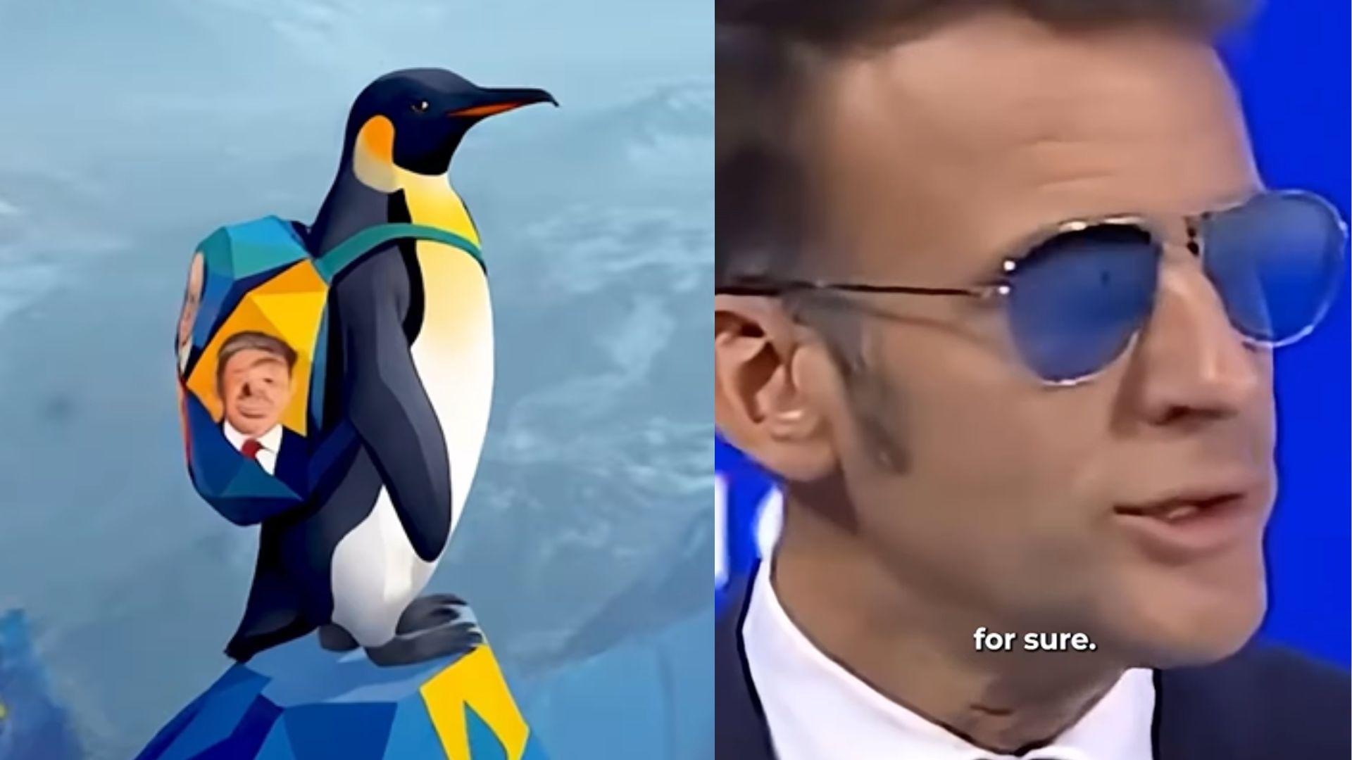 Ce manchot offre au « for sure » de Macron à Davos sa meilleure mise en ...