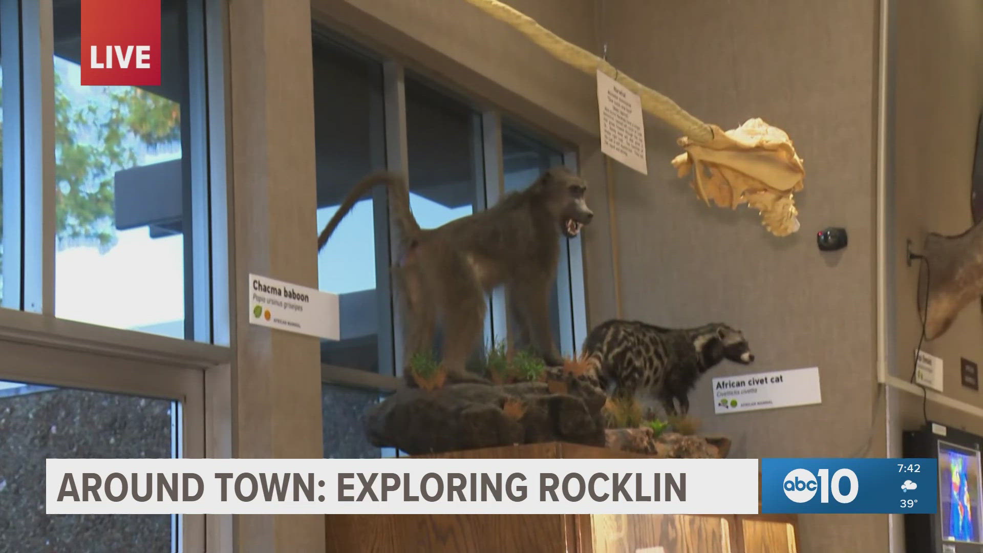 Sierra College Natural History Museum | Around Town Rocklin