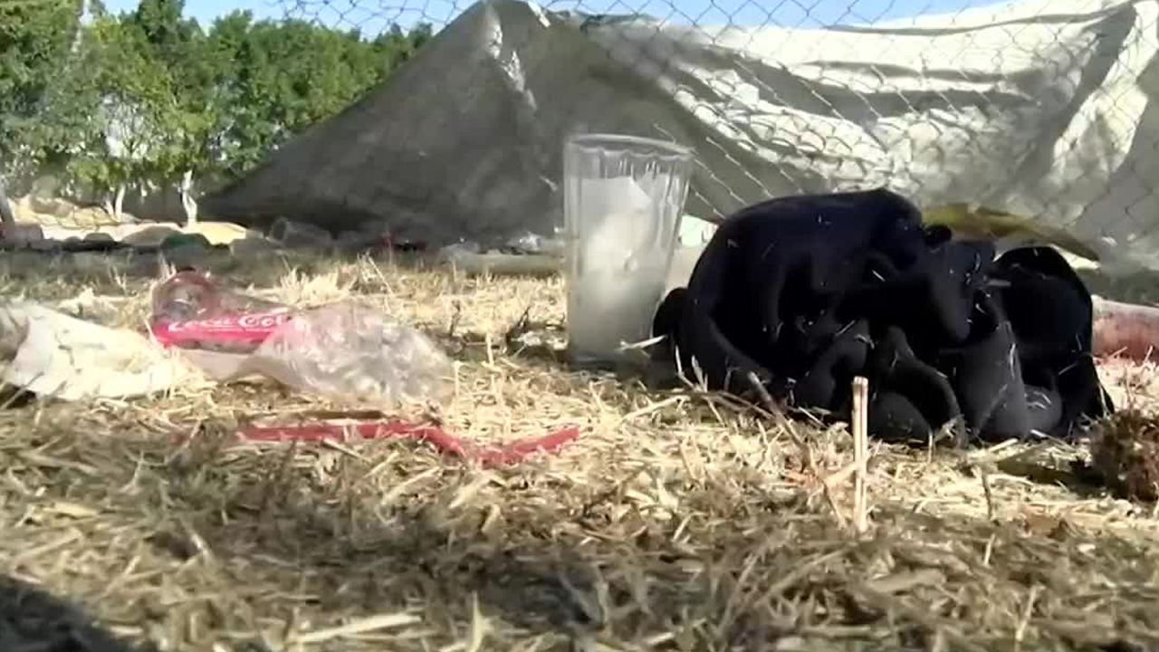 Destinan 236 mdp a víctimas en Guanajuato; el 23% es para gastos funerarios