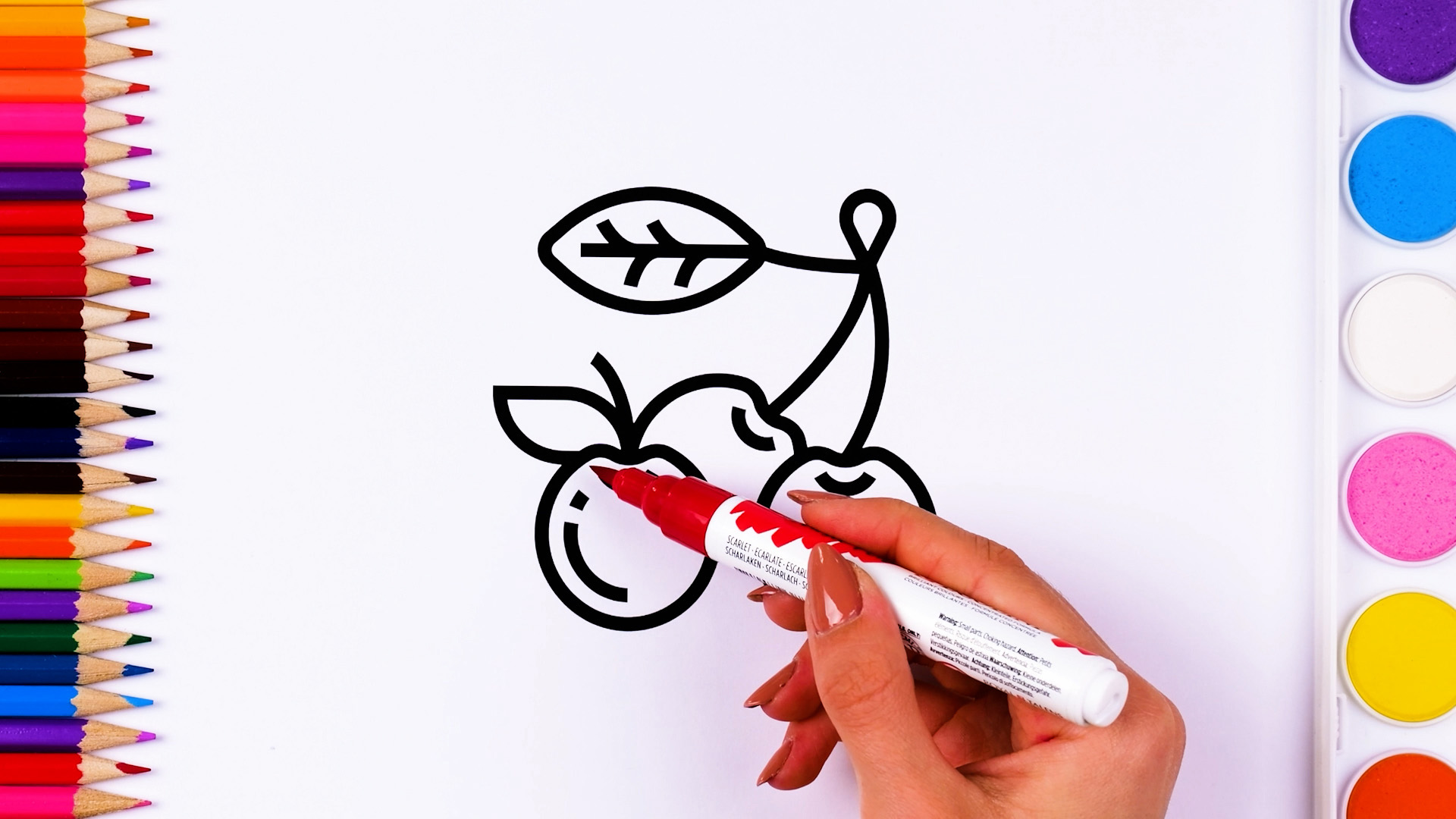 Different drawing designs for fun coloring sessions