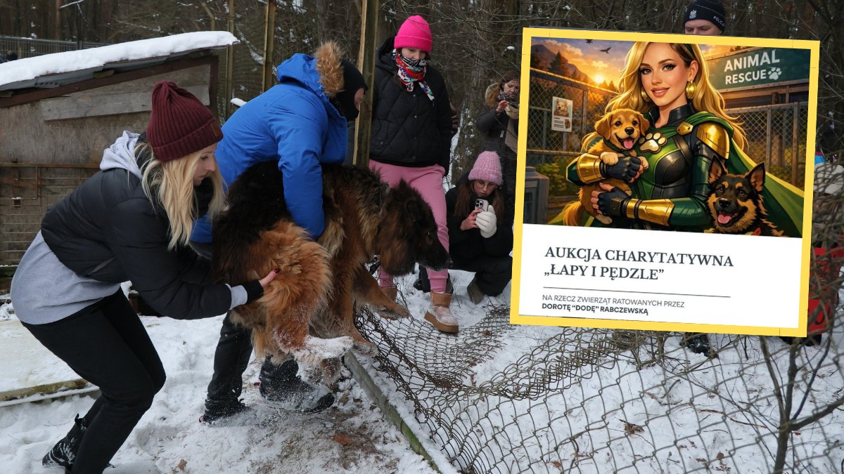 Wyjątkowa aukcja charytatywna pod patronatem Dody. Wsparcie dla ...