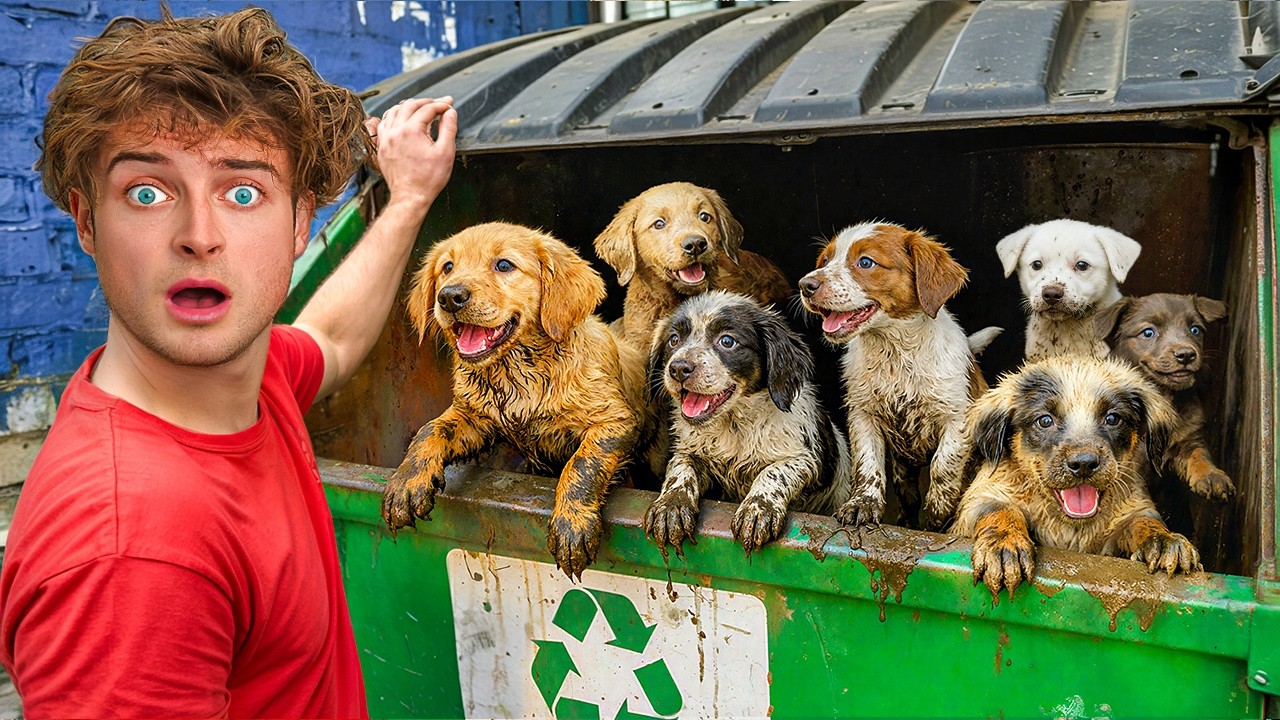 Finding 10 lost puppies in a dumpster!
