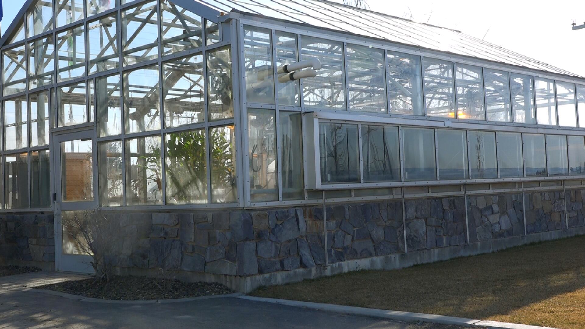 Burley company conducts year-round agricultural research