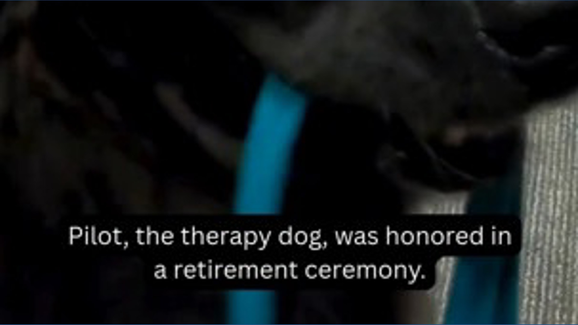 Therapy dog retires