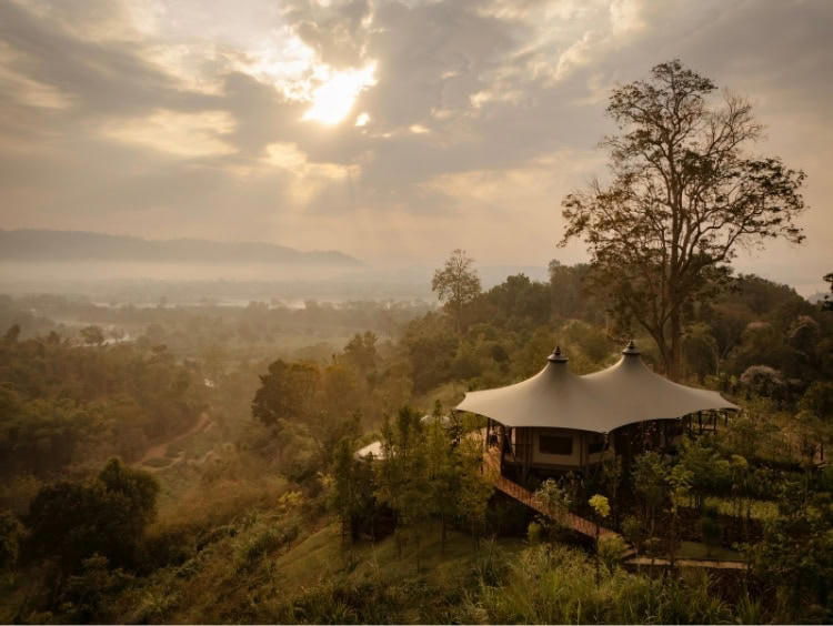 Jungle luxury and gentle giants: A Golden Triangle elephant adventure