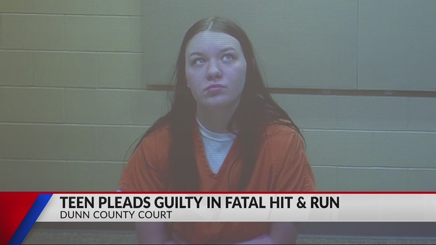 Teenager charged with hit-and-run killing, pleads guilty to more charges