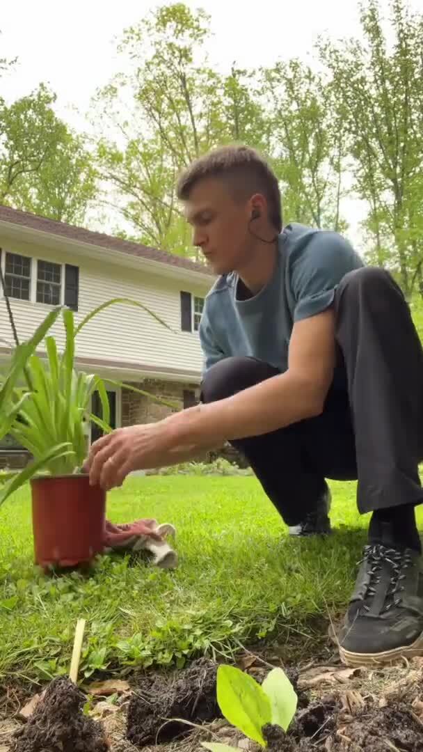 Look at those roots! #shorts #plants
