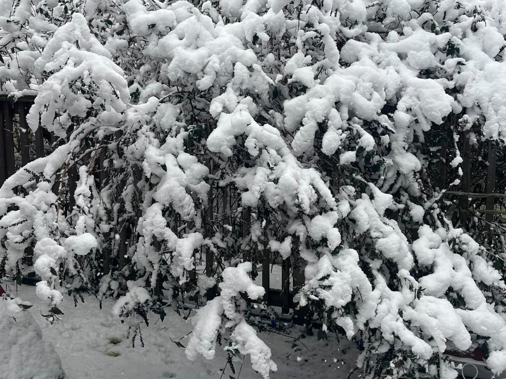 State of emergency declared in Southampton Town