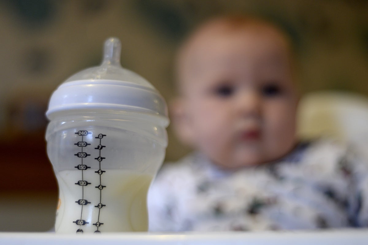 Food safety watchdog confirms presence of toxin in baby formula