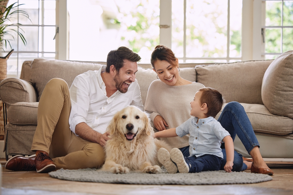 The best house dog breeds to adopt