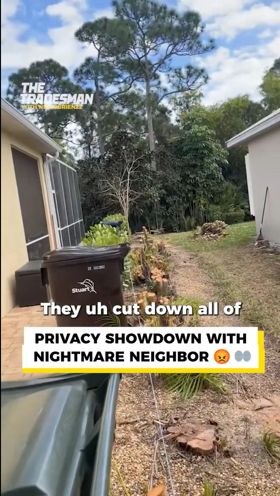 He cut down my privacy line to spy on me