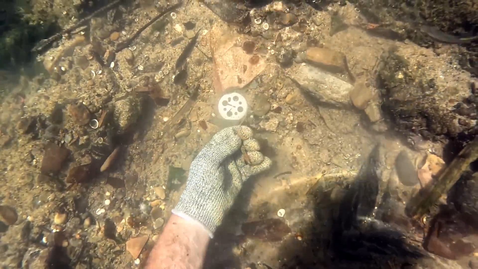 I could see the bottom of the river then I found treasure
