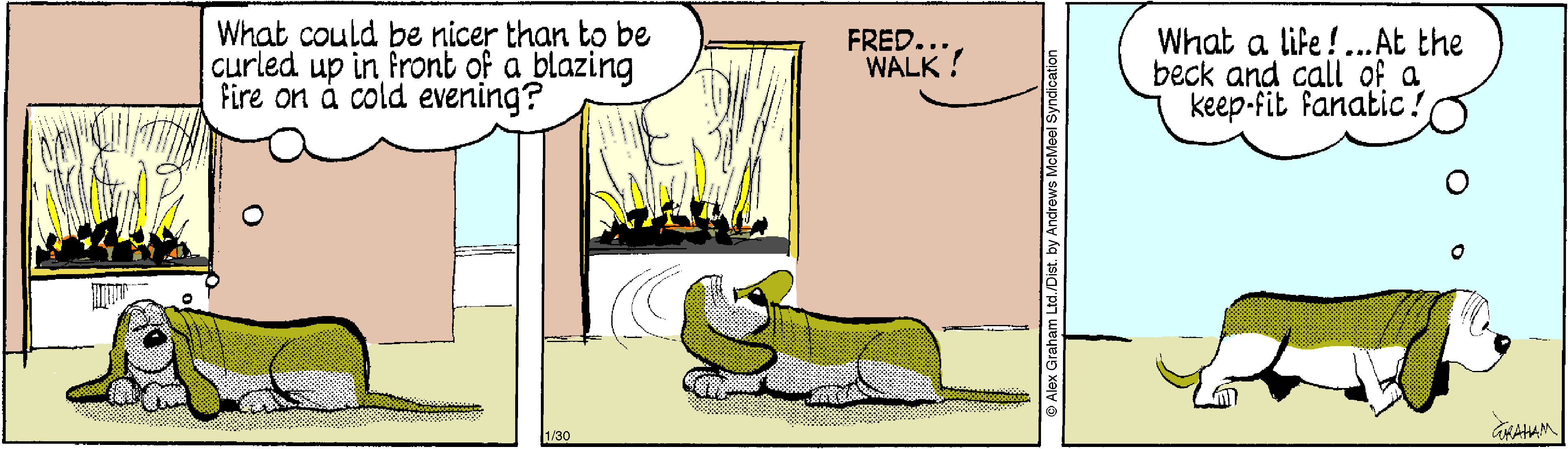 Fred Basset by Alex Graham