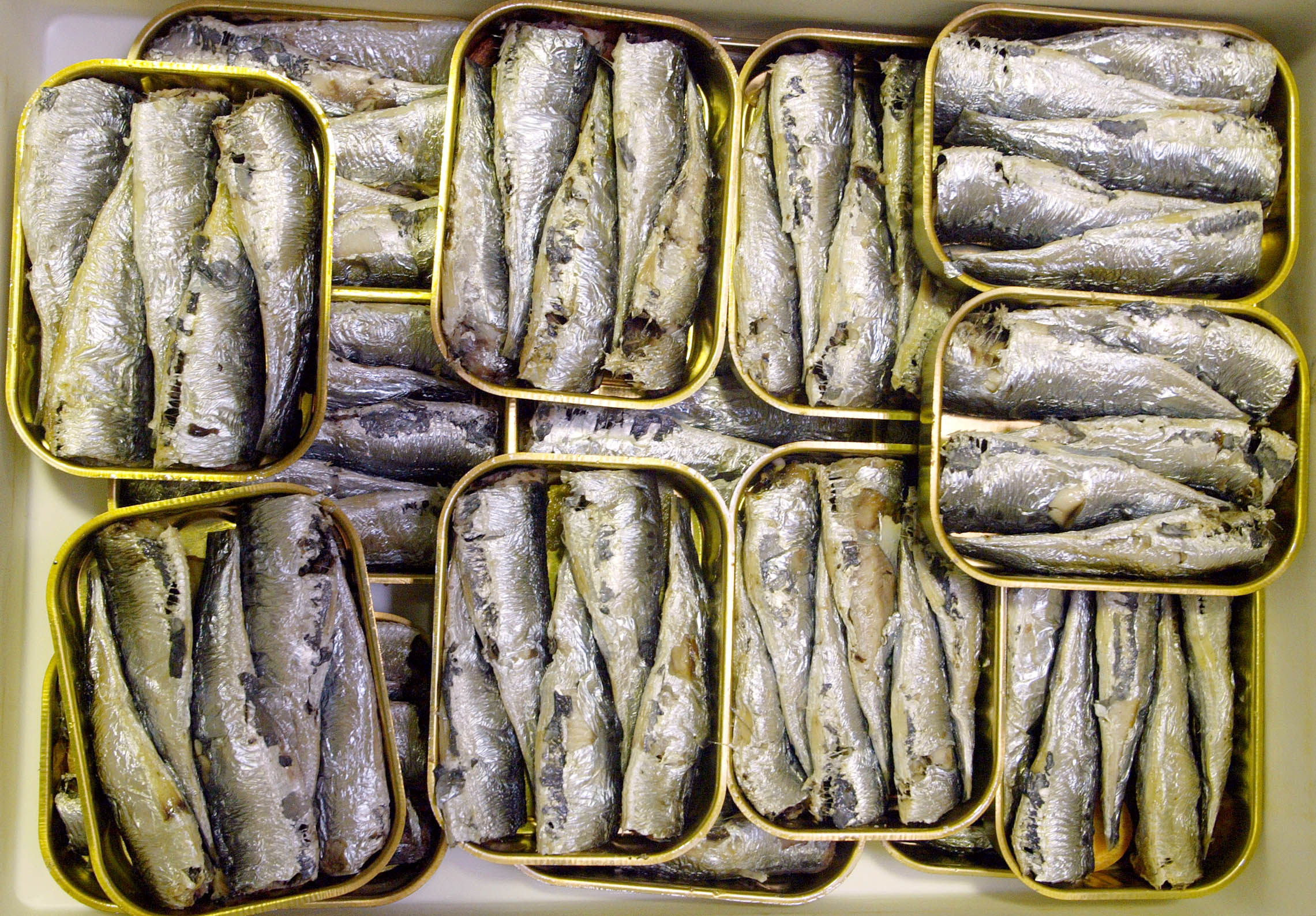 How the supermarket’s cheapest fish became Gen Z’s latest obsession