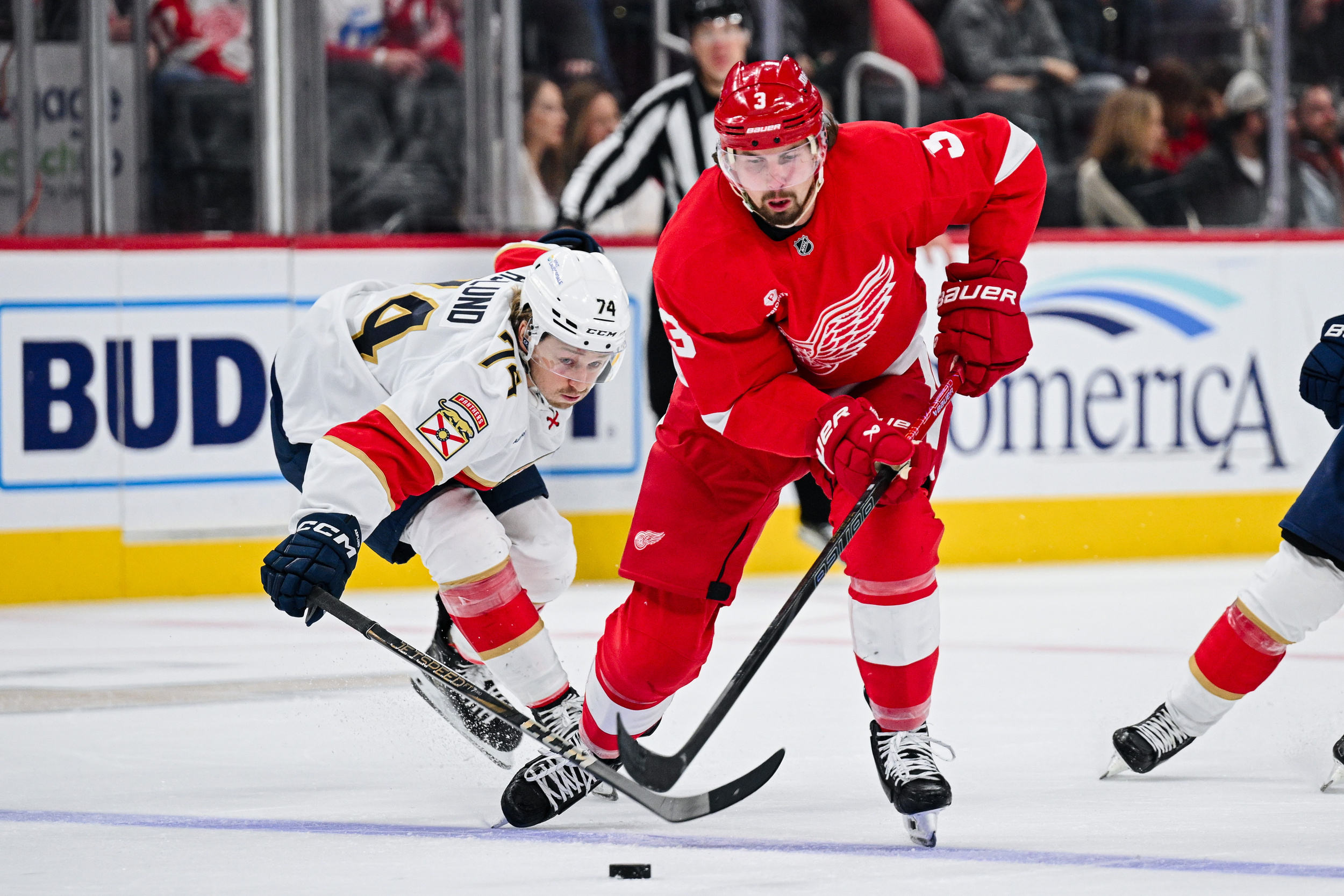Red Wings recall Justin Holl