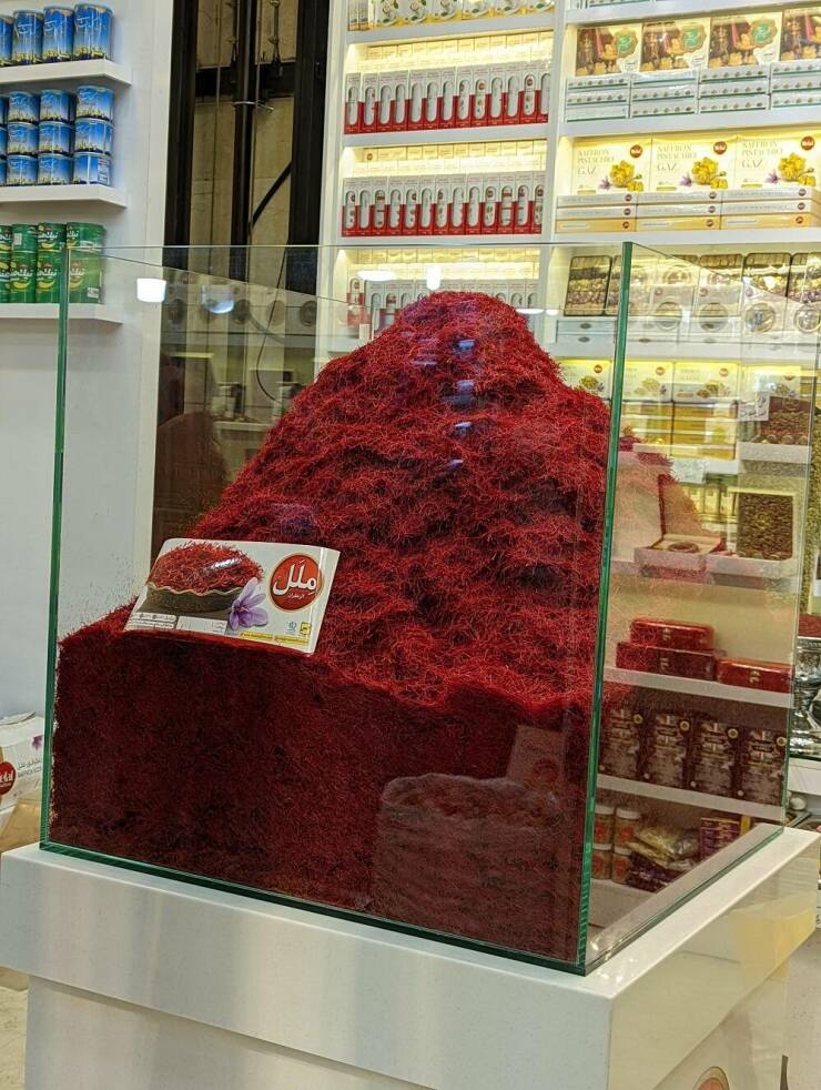 34 odd and interesting things in randomized photos