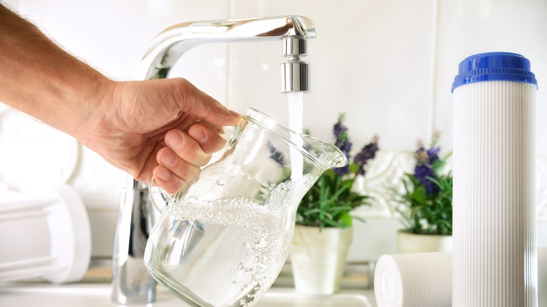 14 liquids to add to scrambled eggs (and what they do)