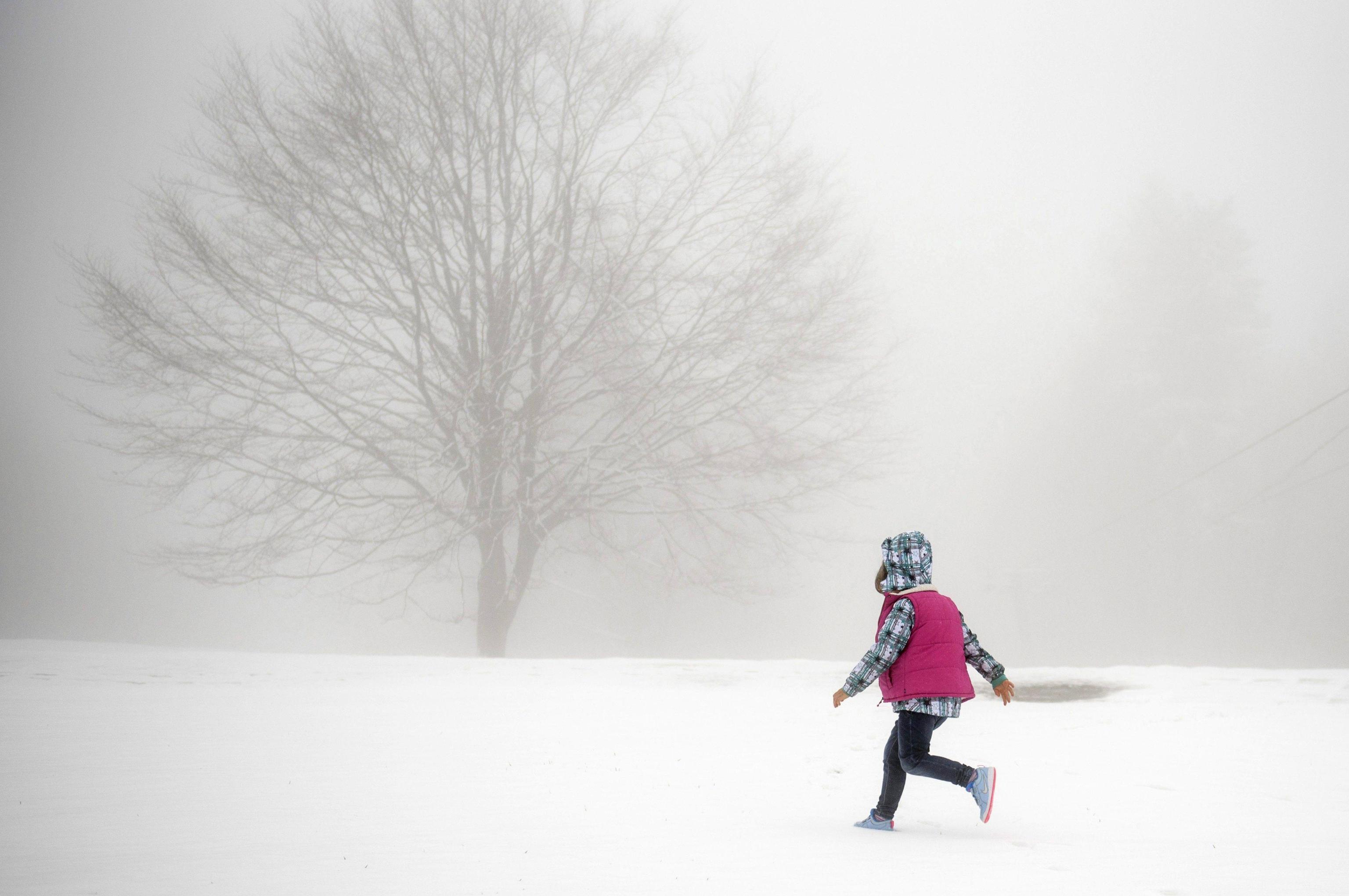 Furore after ticketless 11-year-old ejected from bus, forced to walk 6 ...