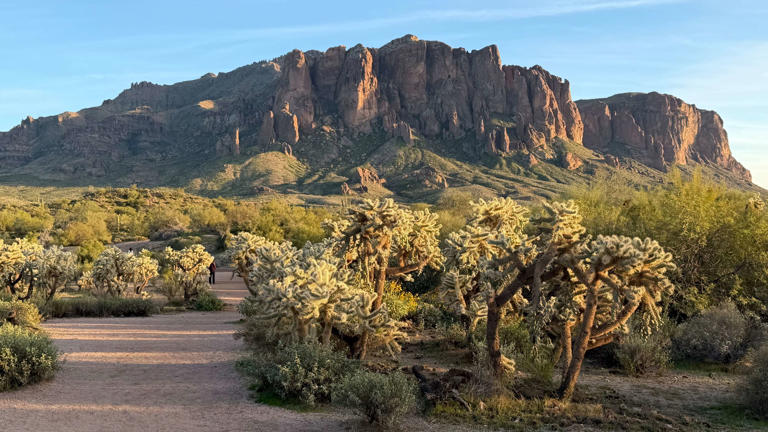 Why this desert city is the perfect home base for a winter escape