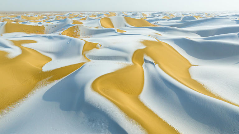 Photos of the week: Snowy dunes, icy storm, crying horse