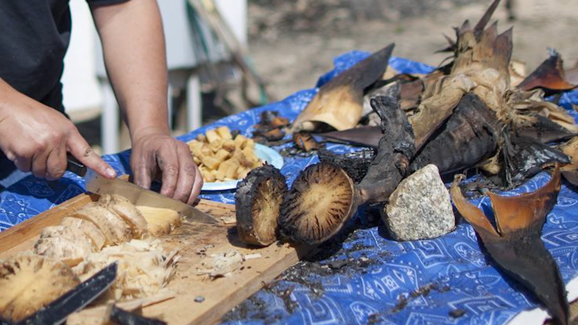 What native tribes ate to survive before modern food existed
