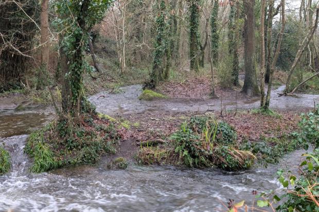 Watch - Raging river submerges famous 'stepping stones' in Helston