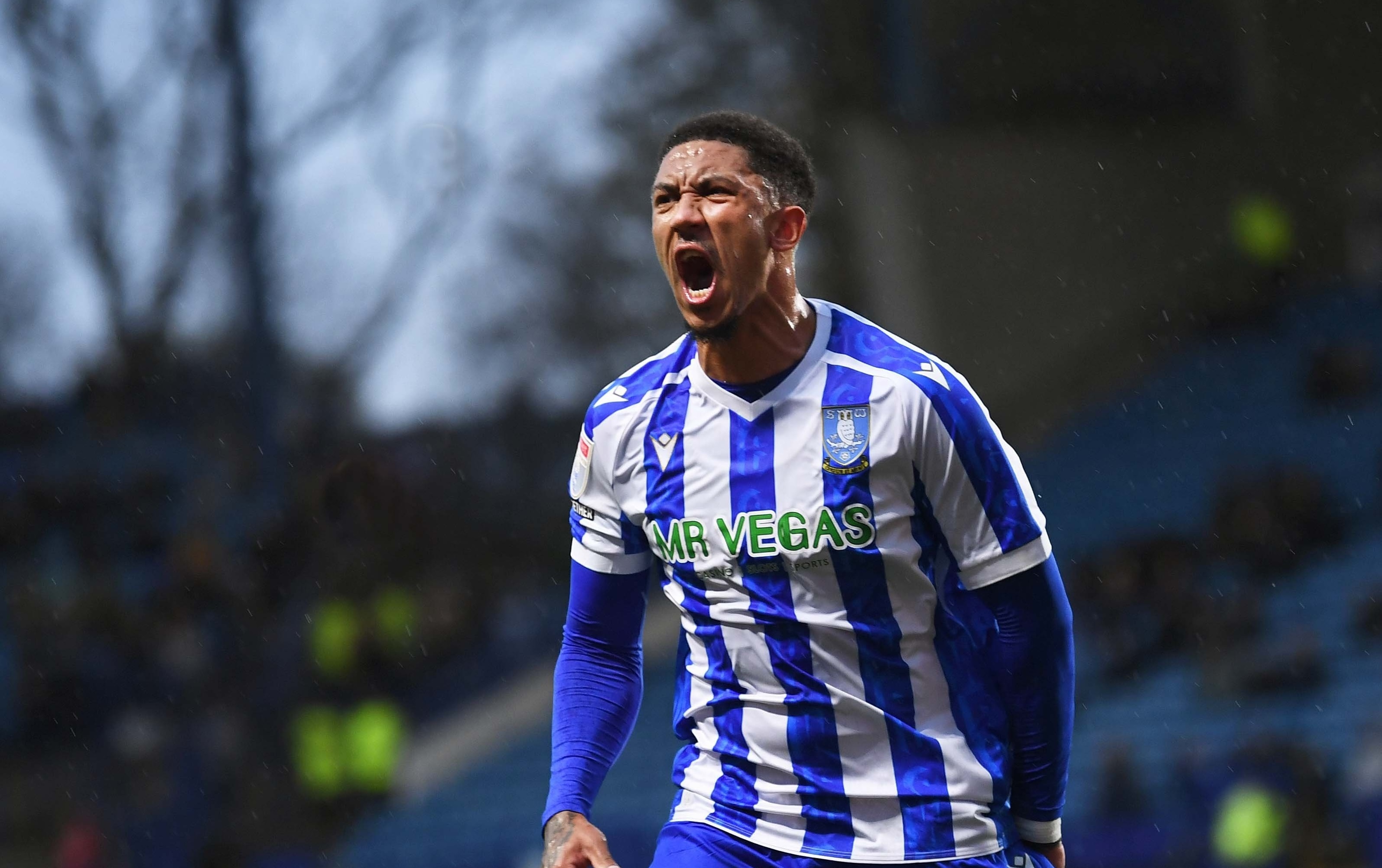 Sheffield Wednesday's new captain revealed following Barry Bannan's ...