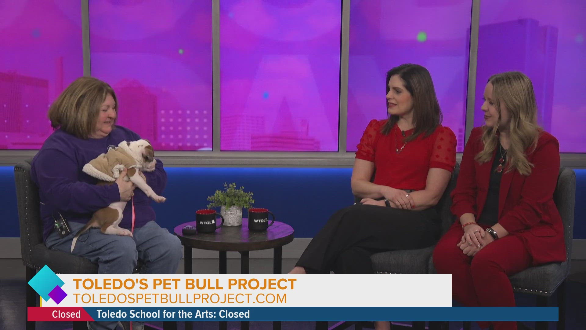 Furry Friday | Can you give this cutie a good home? | Good Day on WTOL 11