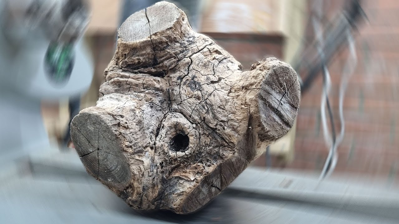 Laburnum woodturning experiment The Ugly Bug Ball