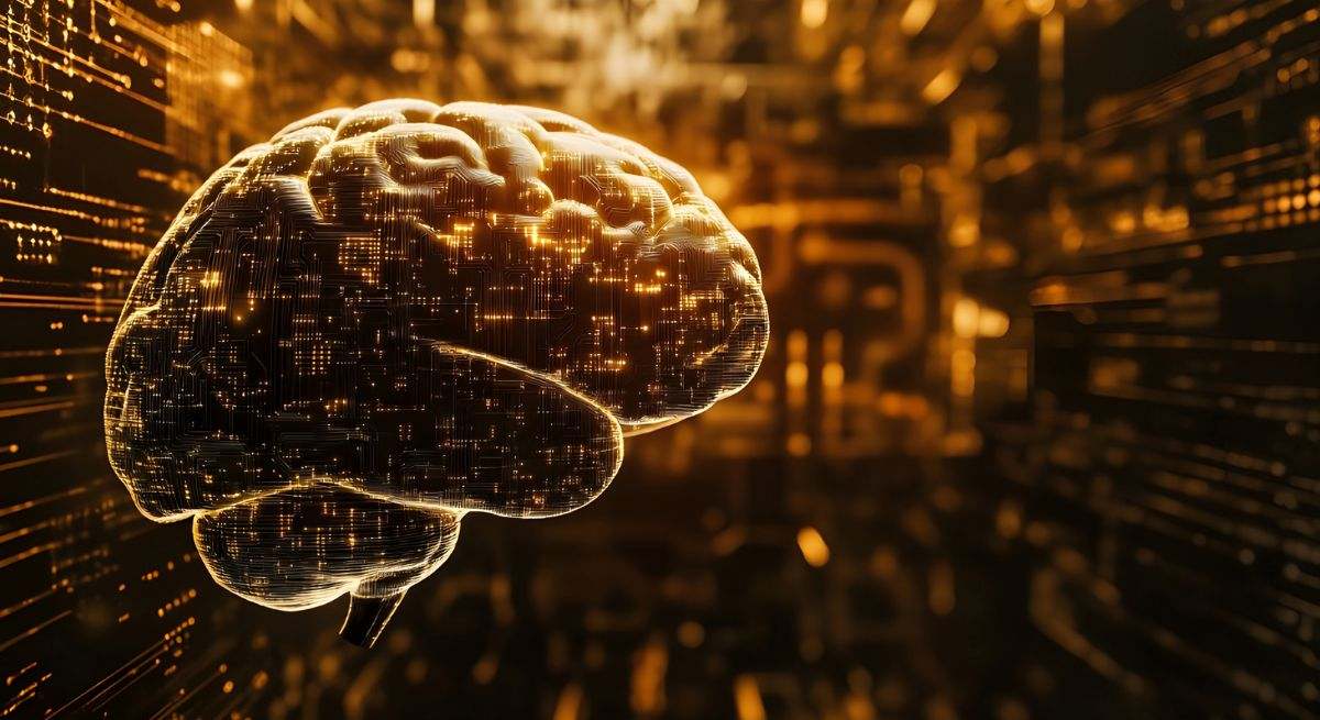 Descubren un circuito neuronal que podría explicar por qué algunas ...