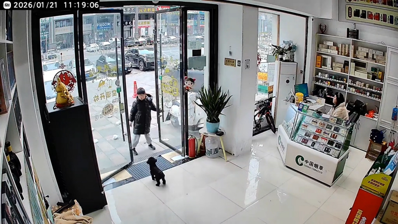 Sudden glass explosion startles child and dog in China