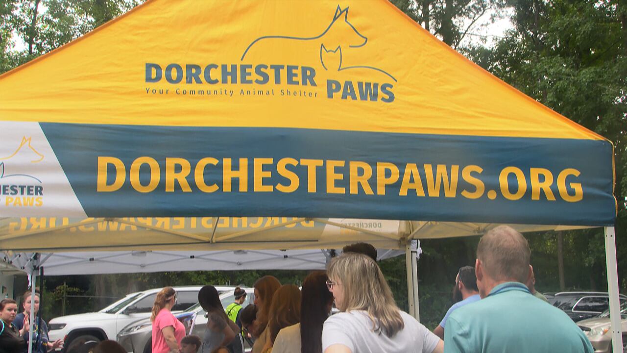 Dorchester County Animal Shelter