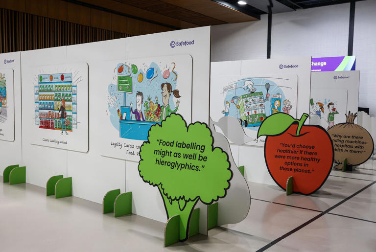 New illustrations at Belfast exhibition reveal Northern Ireland’s ...
