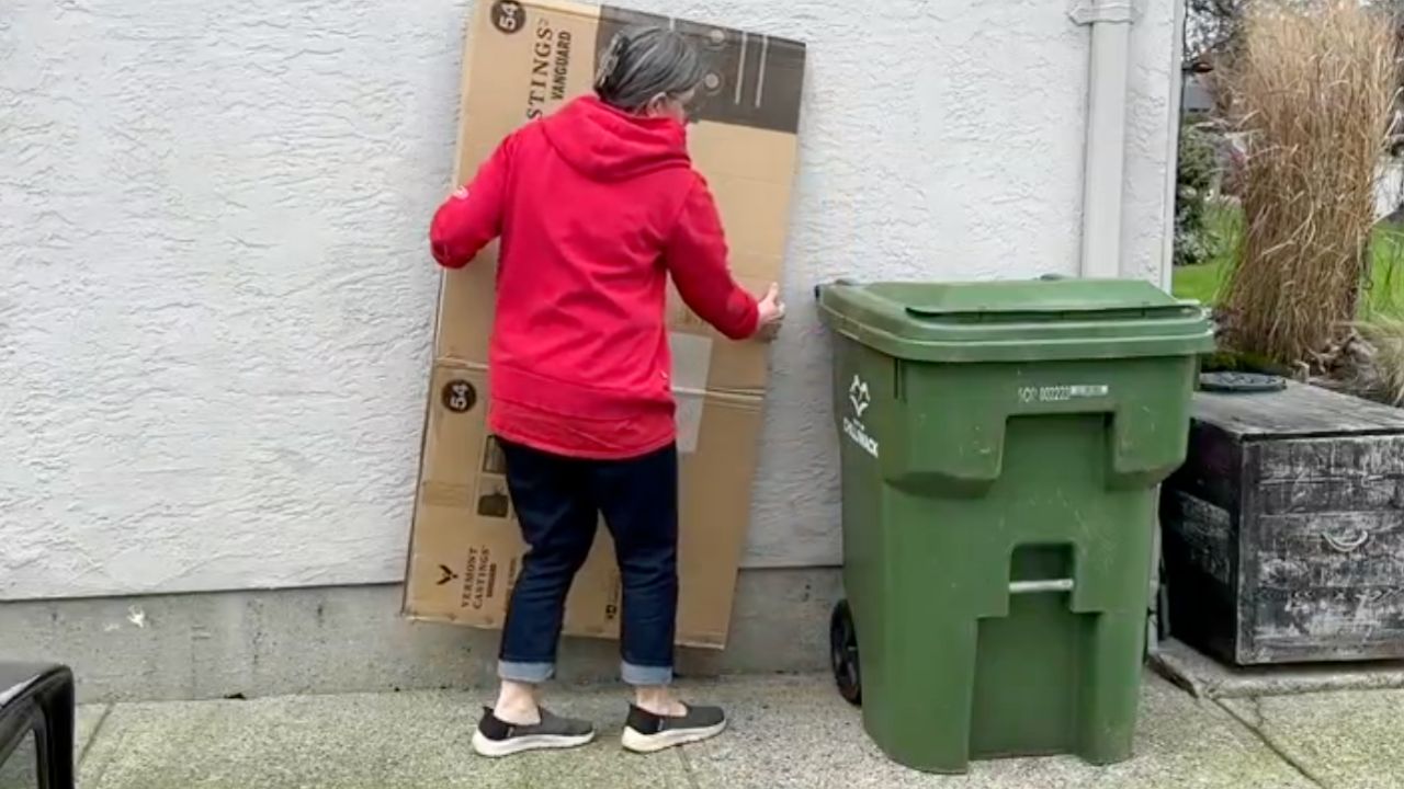 She pulls a cardboard box from the trash for this genius entryway idea!