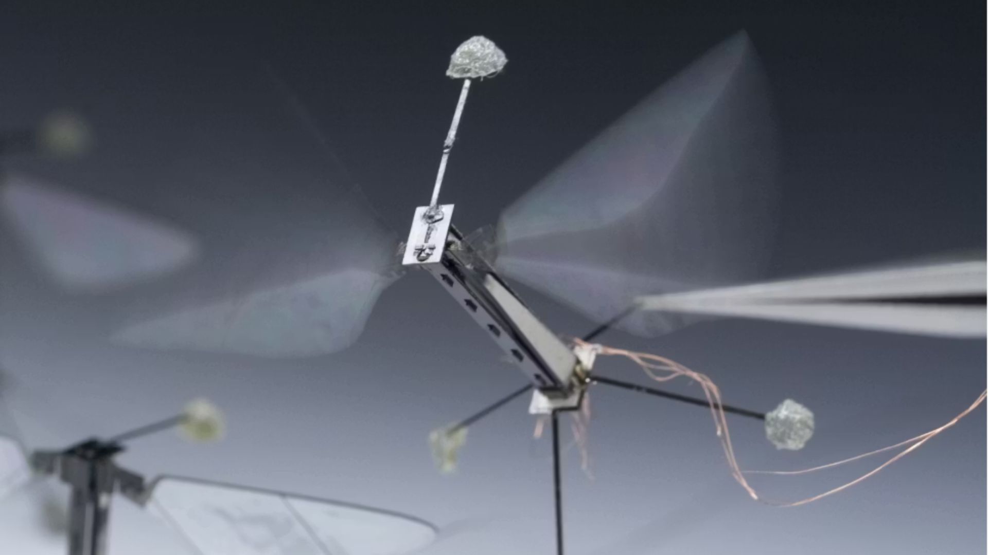 Bee-inspired navigation chips could unlock fleets of insect-sized robots