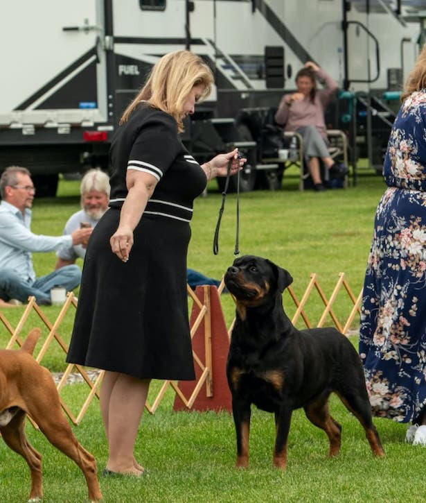 'Girl power!': New Lenox family's female rottweiler among the elite ...
